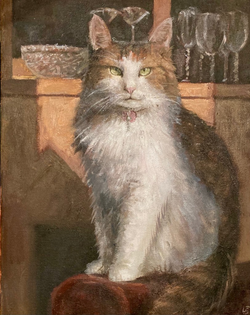 pet portraits – Alexandra Schnabel