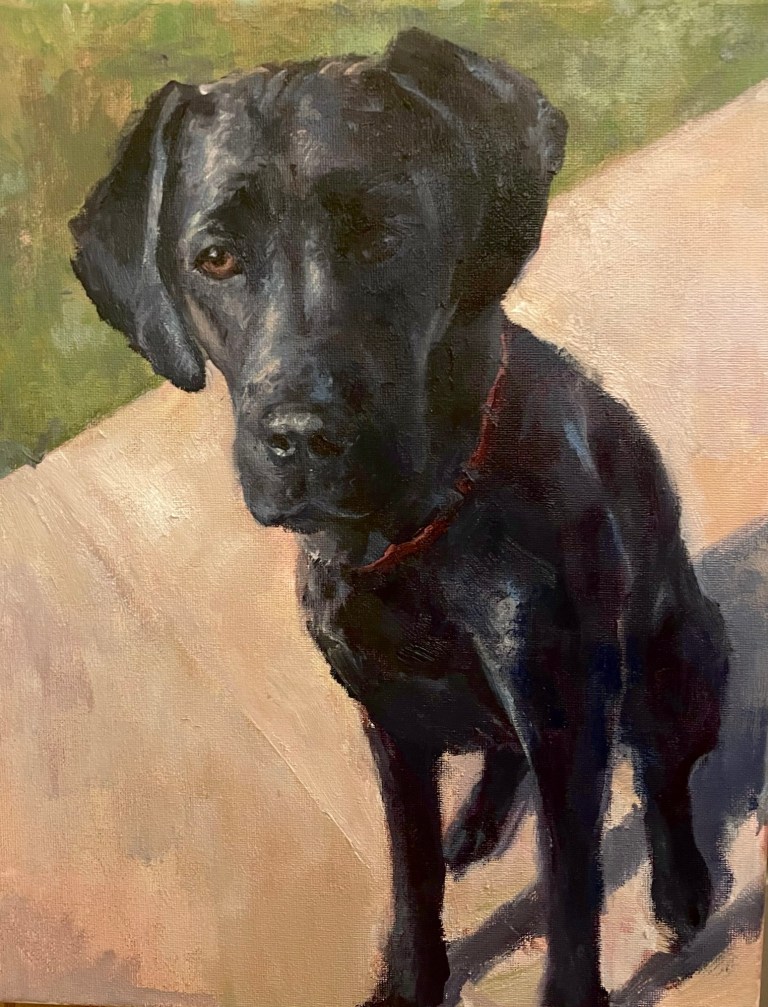 pet portraits – Alexandra Schnabel